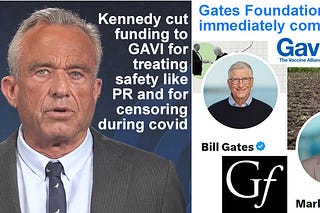 Letters from Australia | Alison Bevege | Substack