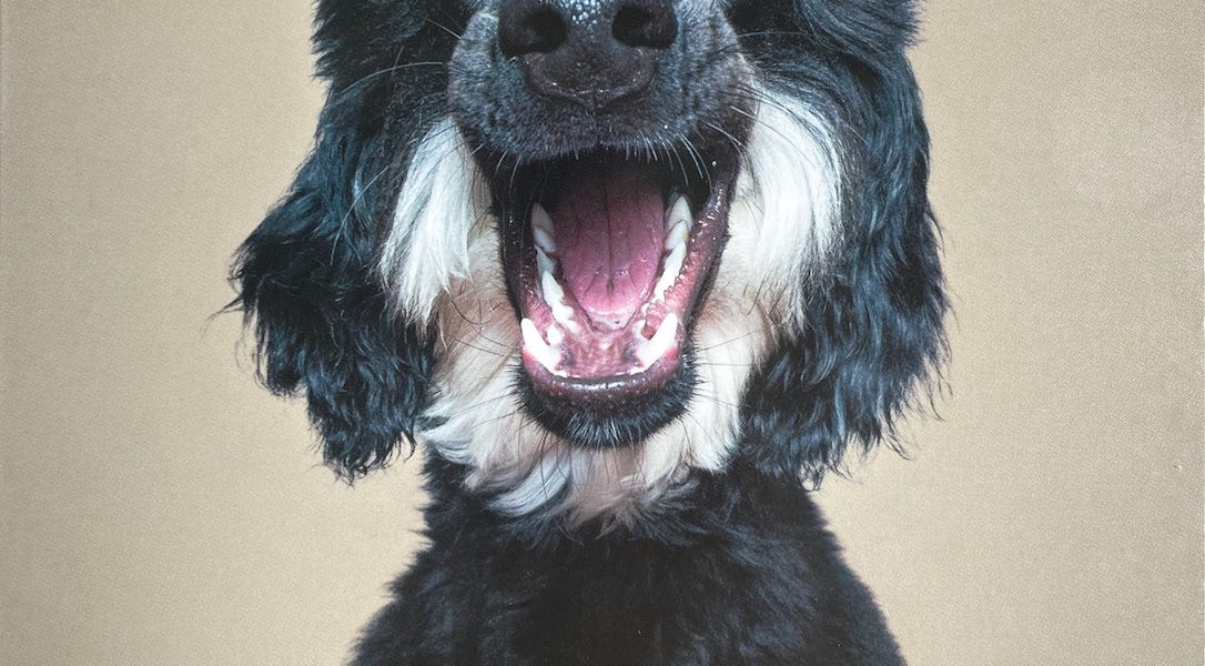 Potential animal pandemic pathogens - by Simon Wain-Hobson