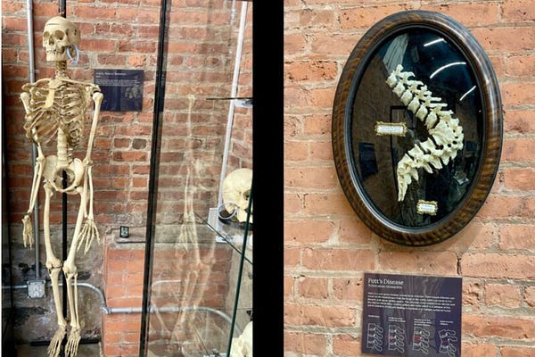 Closing Arguments | Courthouse News | Substack