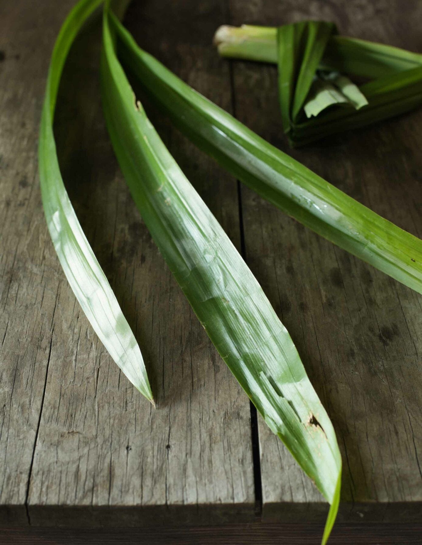 Get Danico's cocktail recipe: tropical Pandan Highball