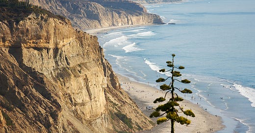 Business San Diego | Fred Grier | Substack