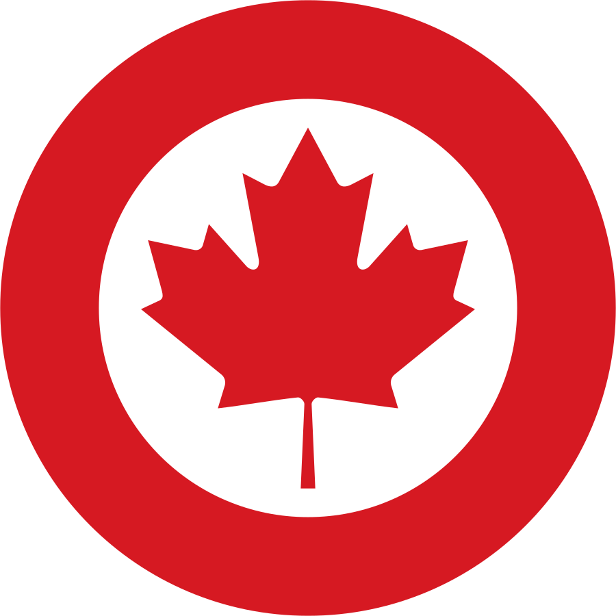 Canadian Returnee | Substack