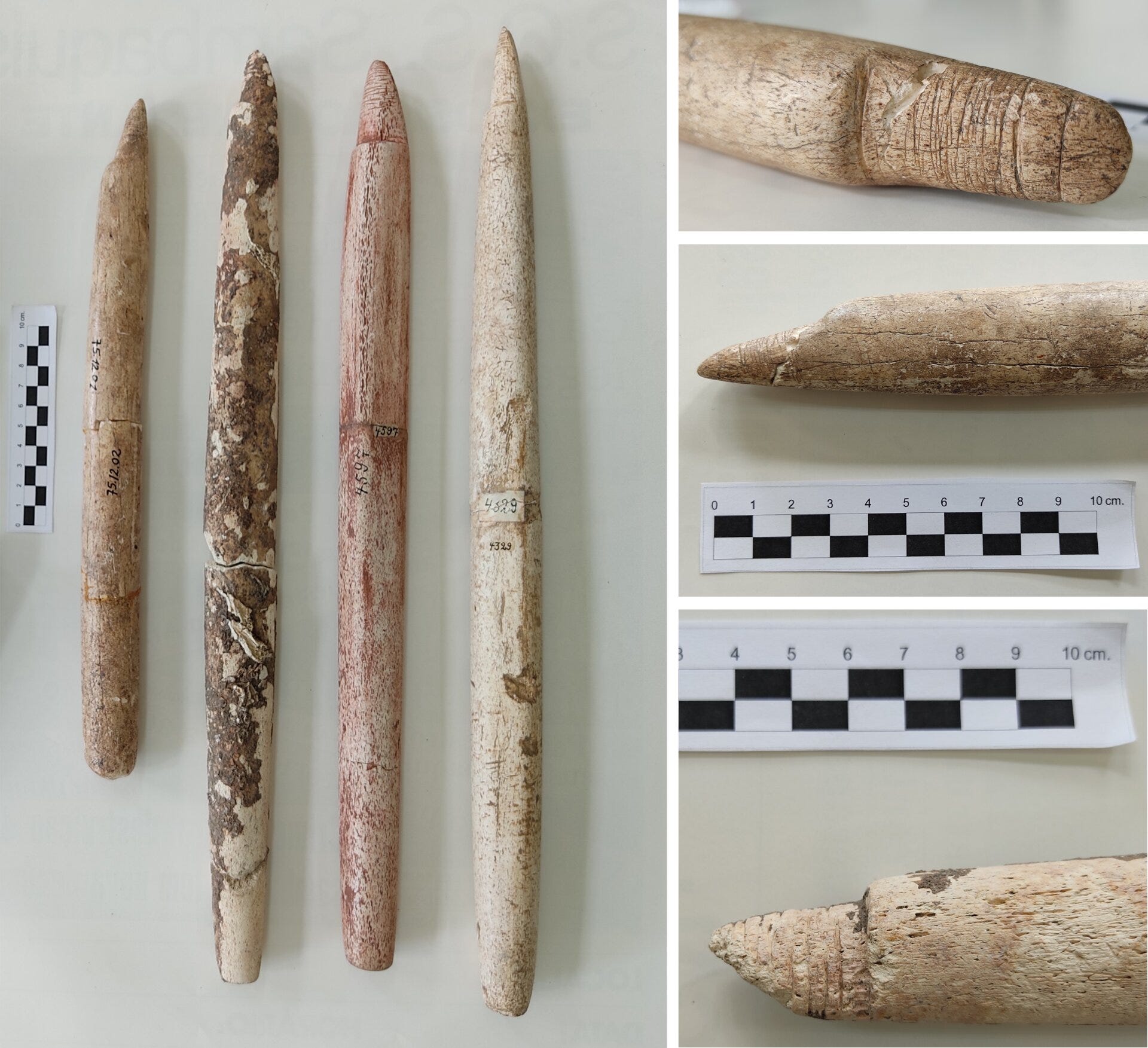 Harpoons Before History Remembered - Anthropology.net