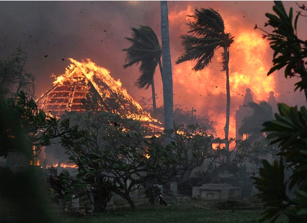 Oprah's Role in the Maui Disaster! 'Send In The Clones!'