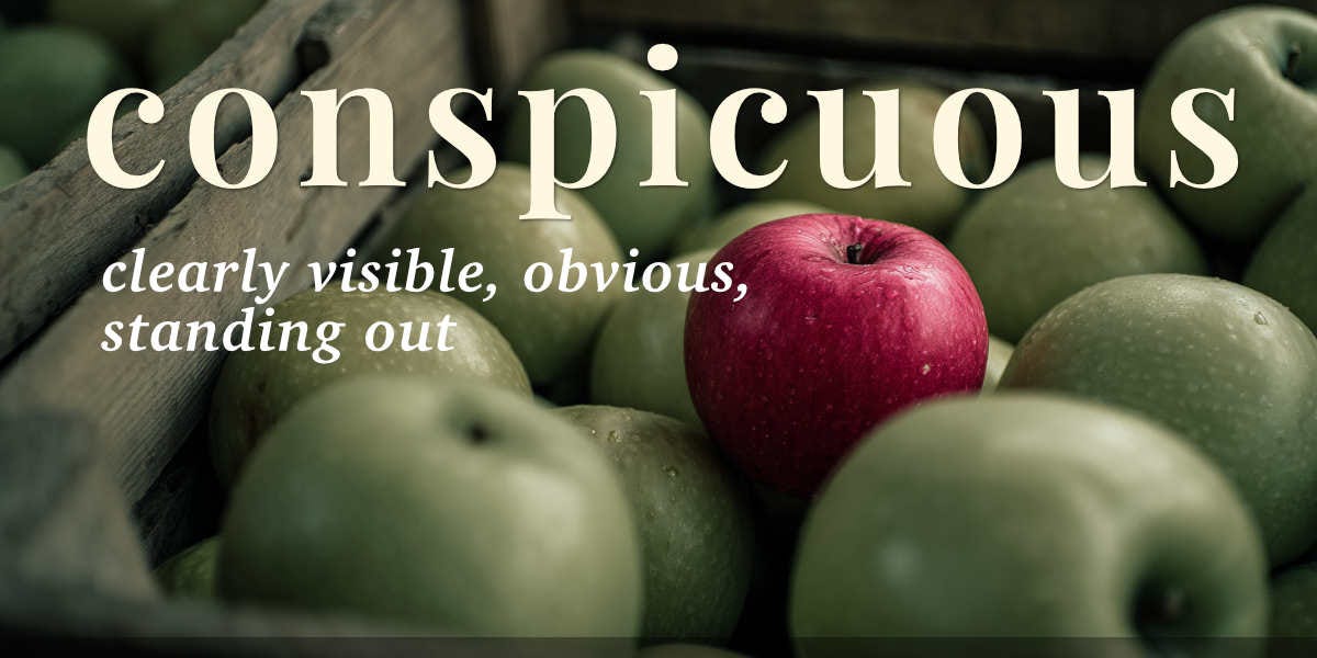 conspicuous non examples