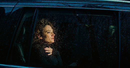 In the Flash | Dina Litovsky | Substack