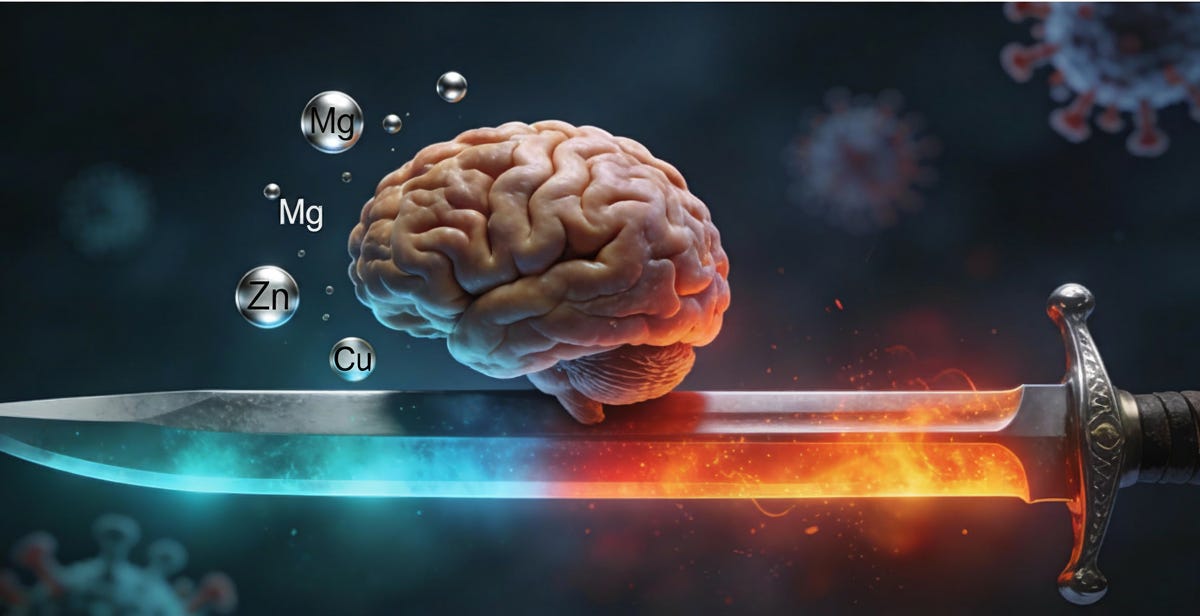 Comments - Zinc’s Double‑Edged Sword: Mineral Imbalance and the Post ...