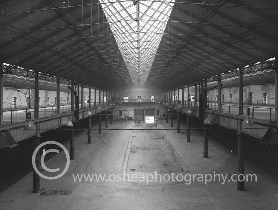 “The crowd, boot-stomping, hand-clapping, slaughtered, will not leave”