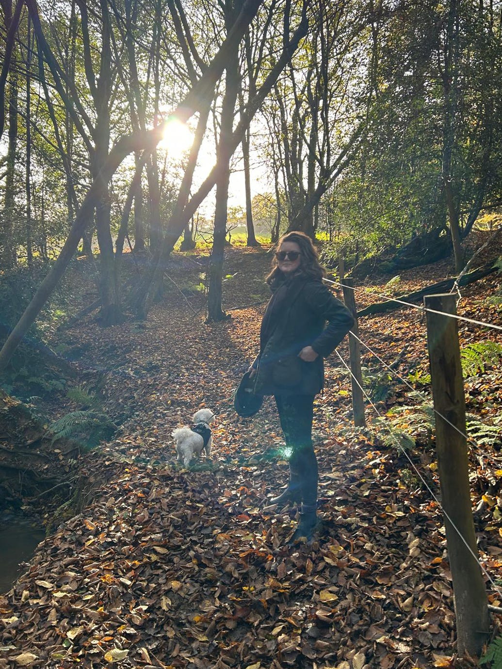 On Mortality and Garden Plans - Horticulturalish