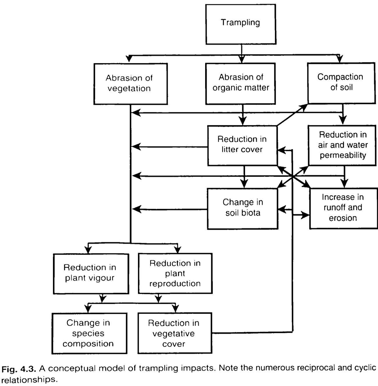 The Environmental Impact of Trail Running and Hiking