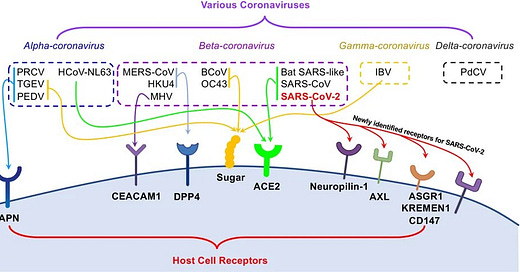 Reverse Engineering the Origins of SARS-CoV-2 | Jim Haslam | Substack