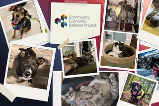 Archive - Community Economic Defense Project