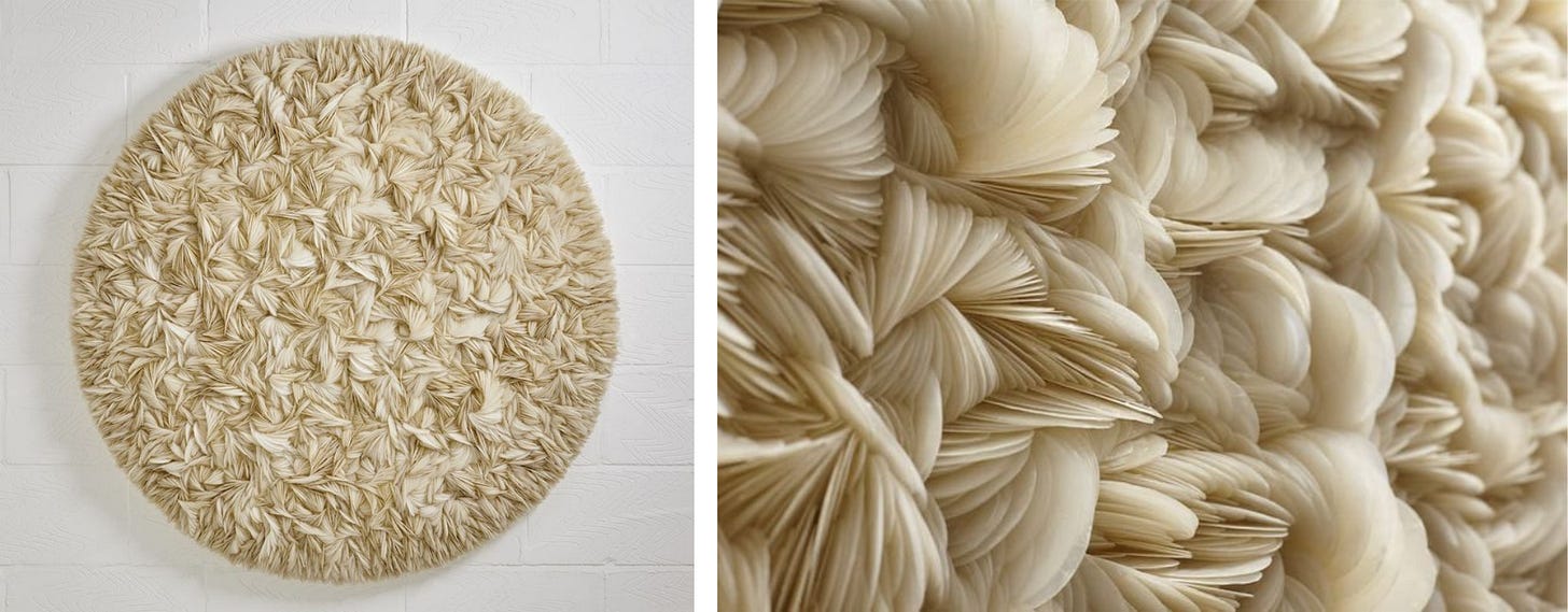 Were shells the artist's earliest muse? - by Elsie Morales