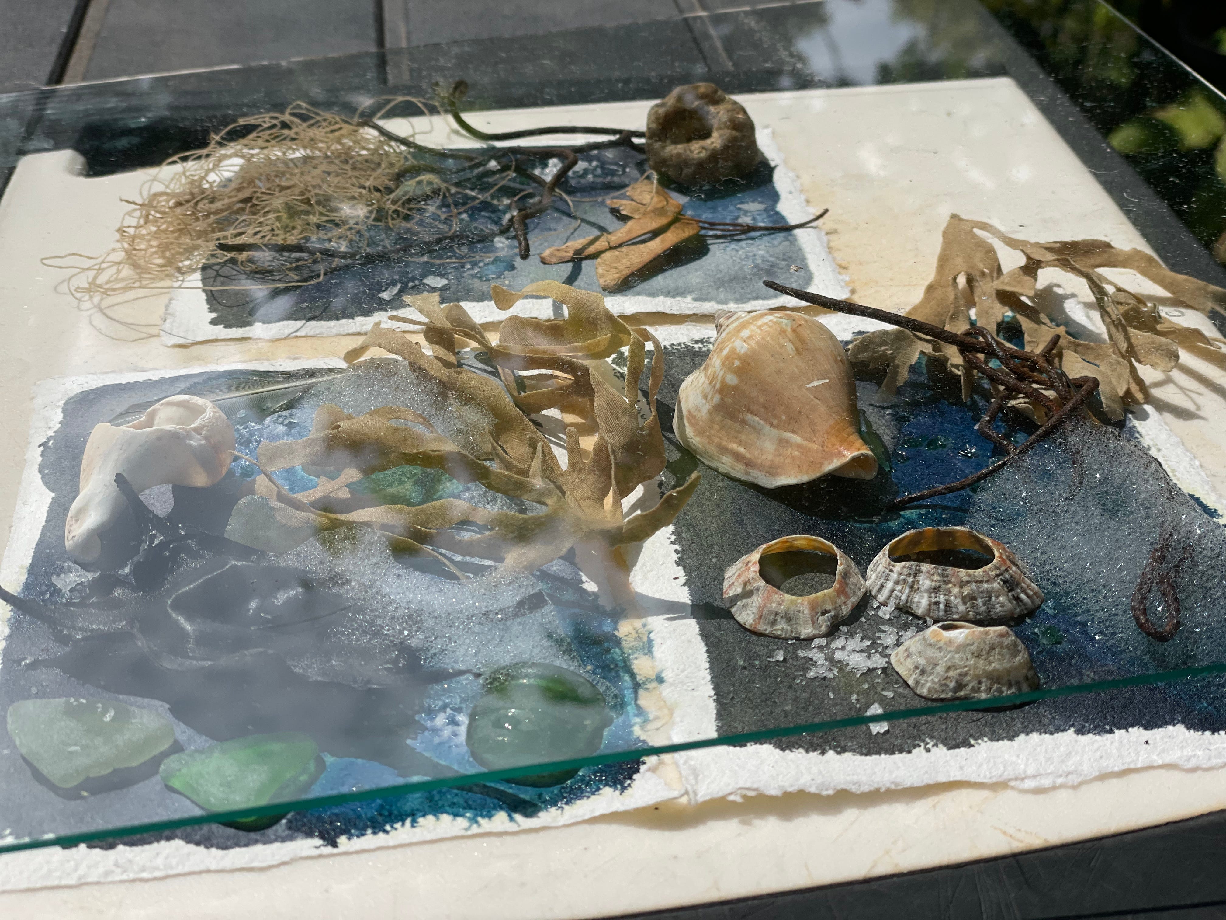 Experimenting with Cyanotypes - Sarah Catchpole