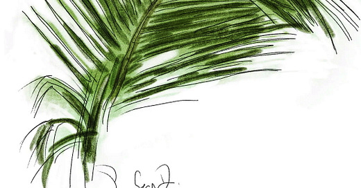 Sean Dietrich | Substack