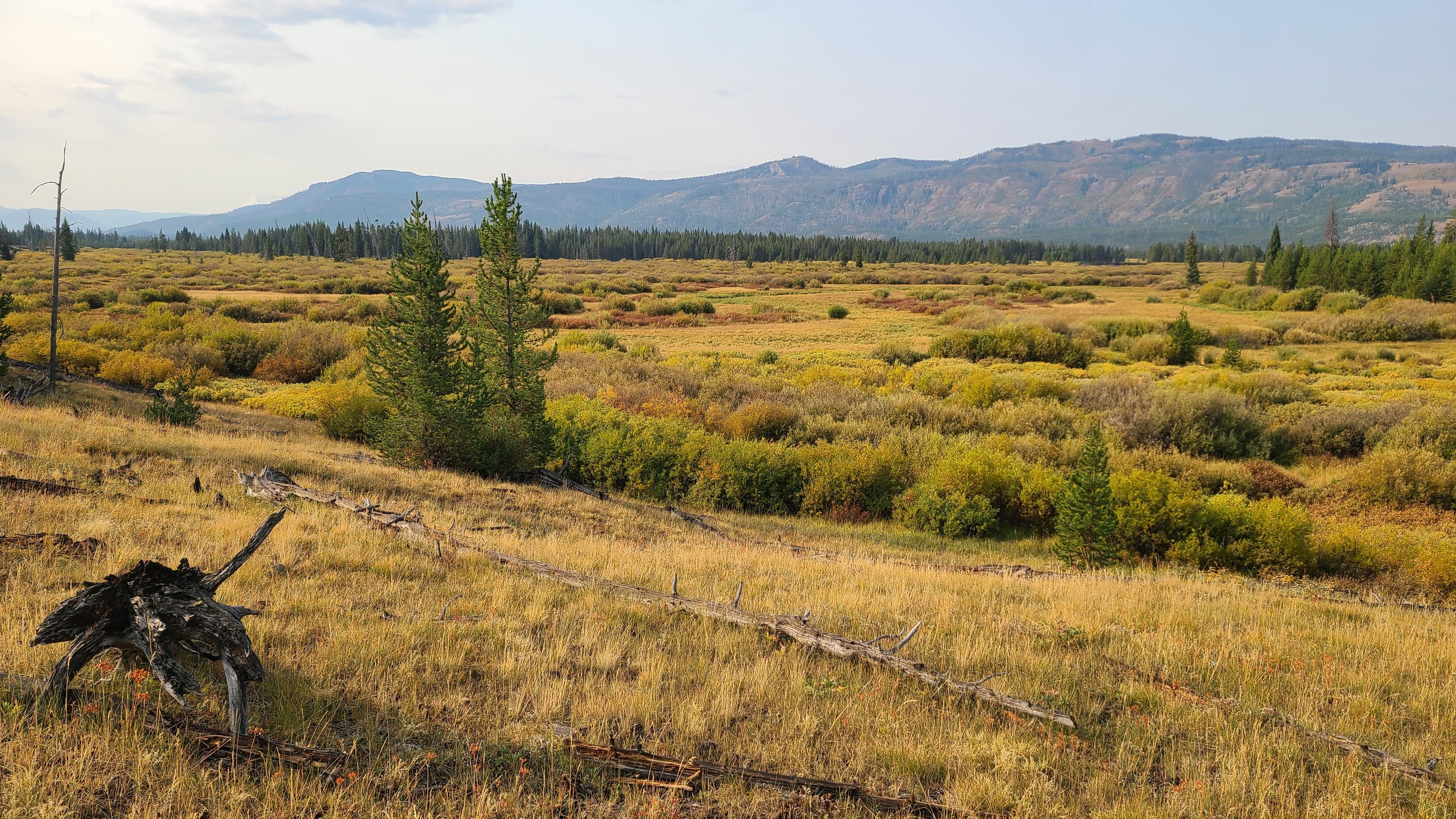 The Thorofare -- Yellowstone National Park, September 2024 (part 7)