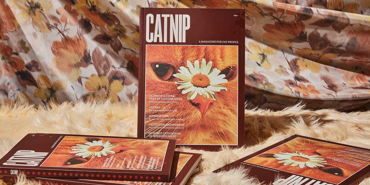 Catnip Vol 2: Art Submissions Call - by Anja Charbonneau