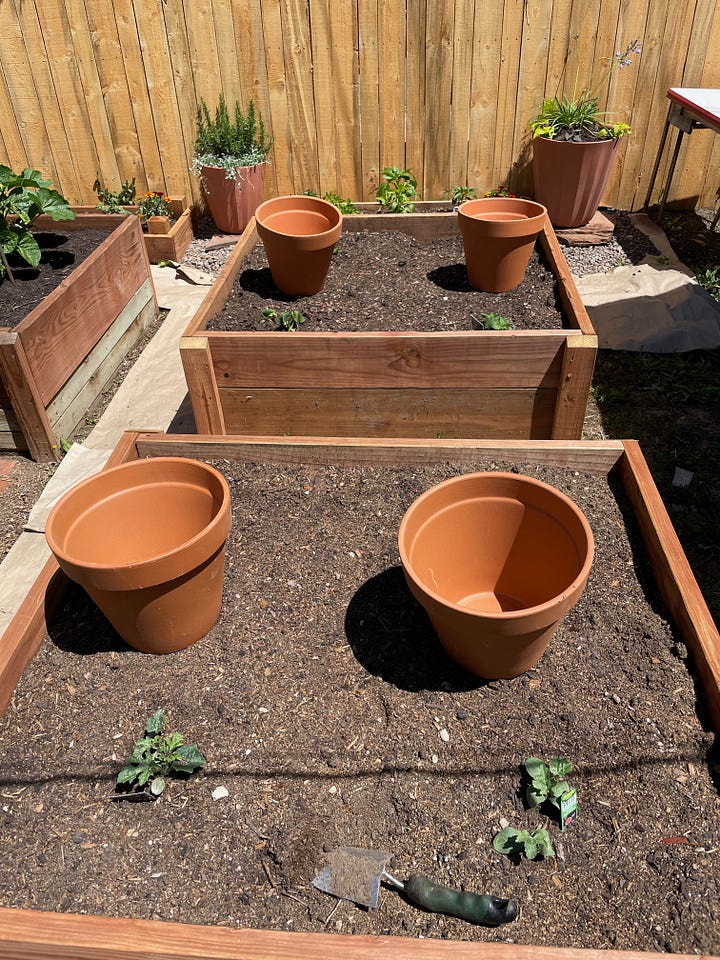 DIY Ollas and Smart Watering Tips for a Thriving, Eco-Friendly Garden