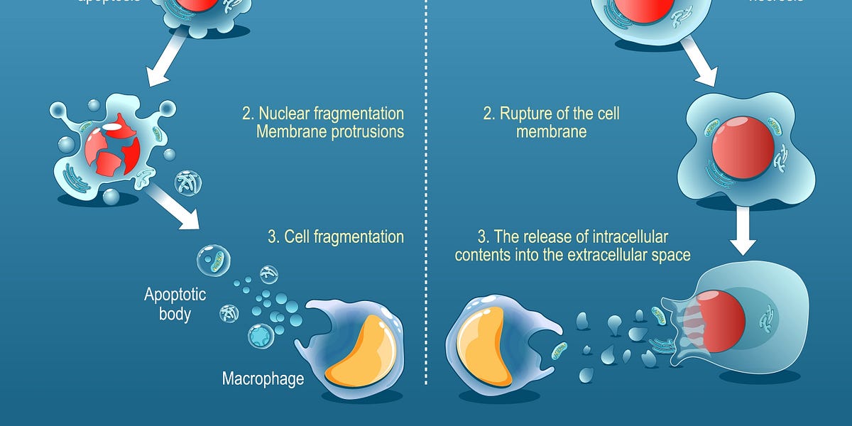 ScienceDaily: Technology - June 02, 2025