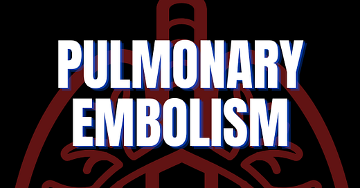 The Echo Journal | Aram K. | Substack