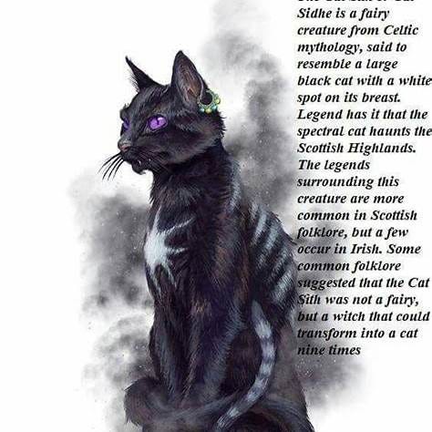 The Cat Sìth – Scotland’s Mysterious Fairy Cat
