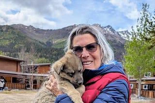 Calul Journal | Substack