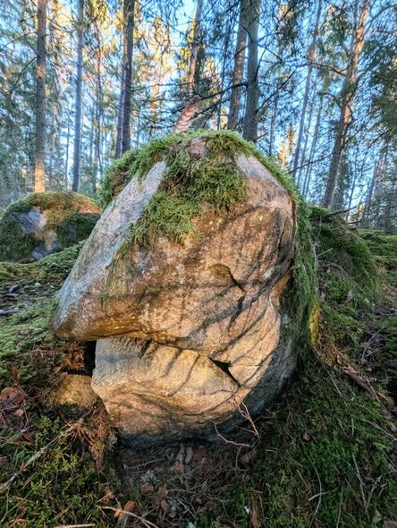 THE HAG IN THE WOODS - Imelda Almqvist's Substack