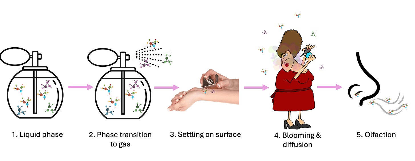 Fragrance: From Bottle to Air - by Ruby Page