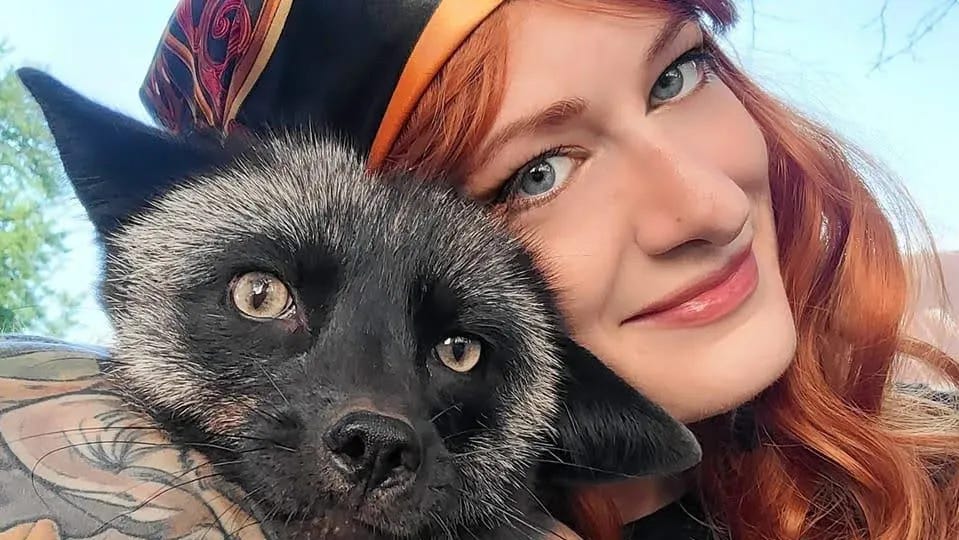 Pet rescuer's drama, trauma, and pain - by Kat Albrecht