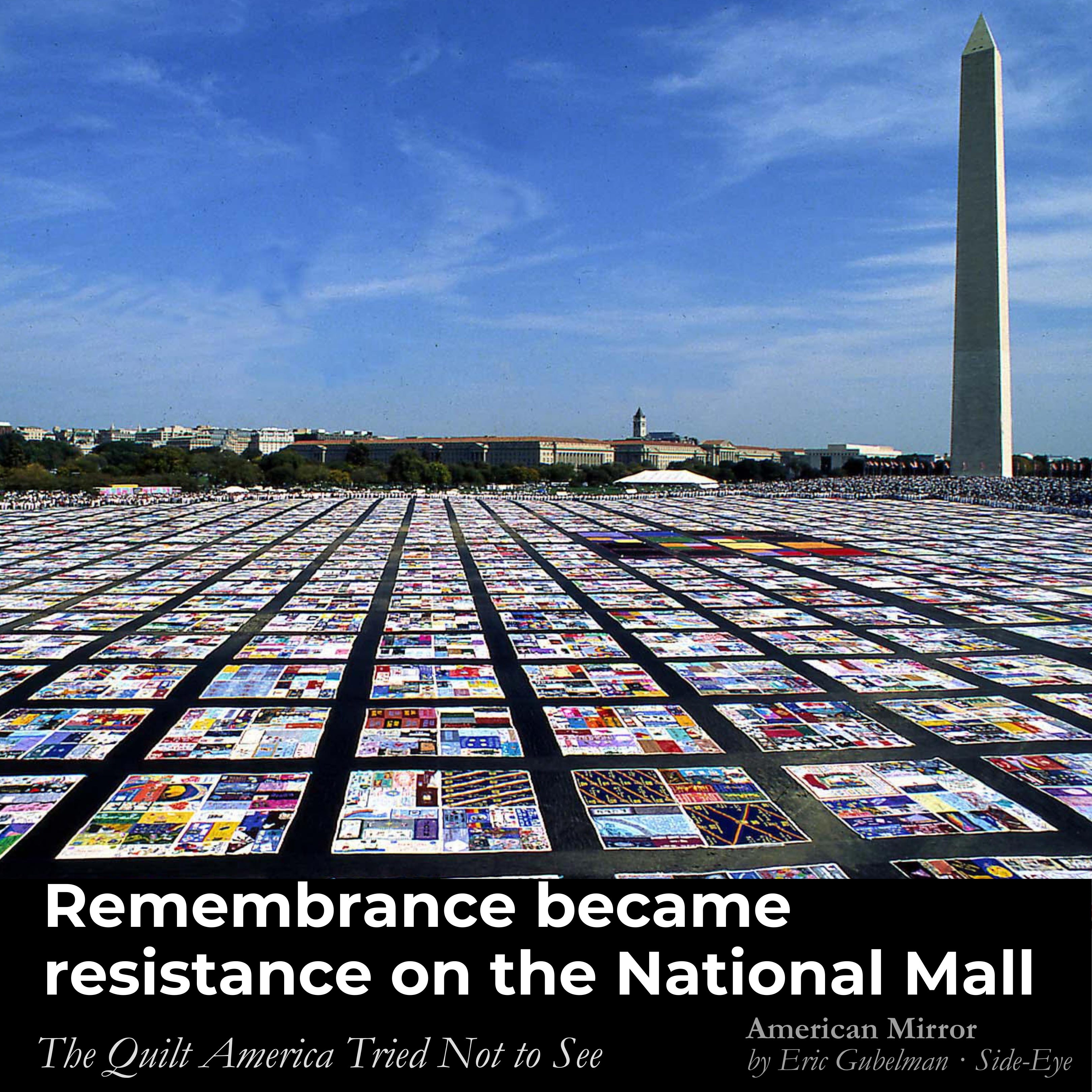 The Quilt America Tried Not to See - by Eric Gubelman