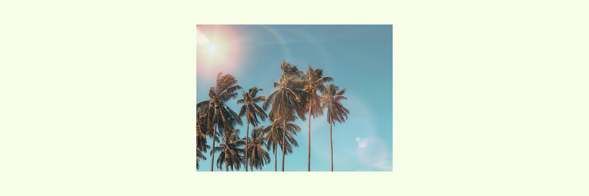 The Alchemist's Dream | Substack