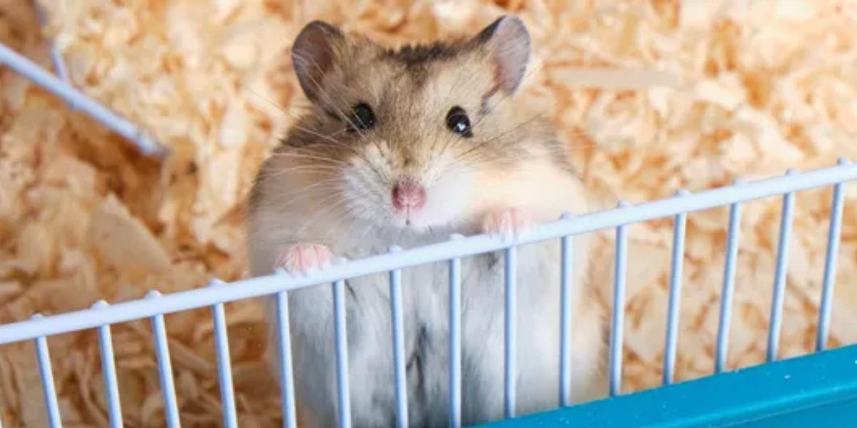 Comments - ☕️ FROZEN ☙ Tuesday, April 15, 2025 ☙ C&C NEWS 🦠