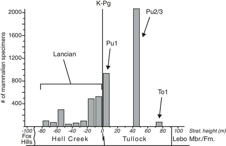 How to Survive an Asteroid Impact