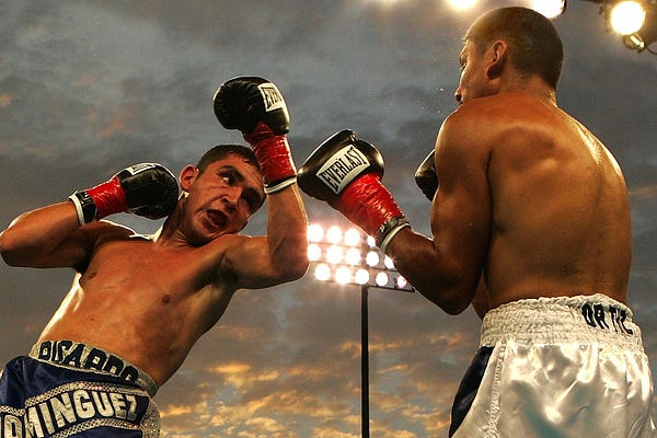 Matthew Evans | Substack