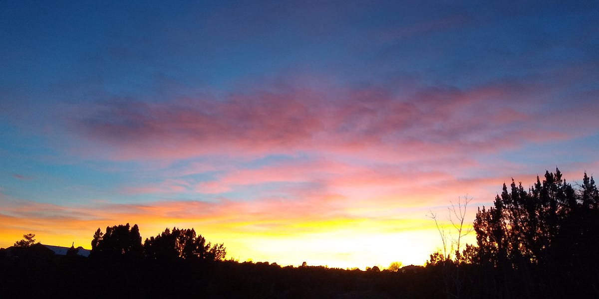 Disquiet Night - by Mike Kay - A Shadow of Yew