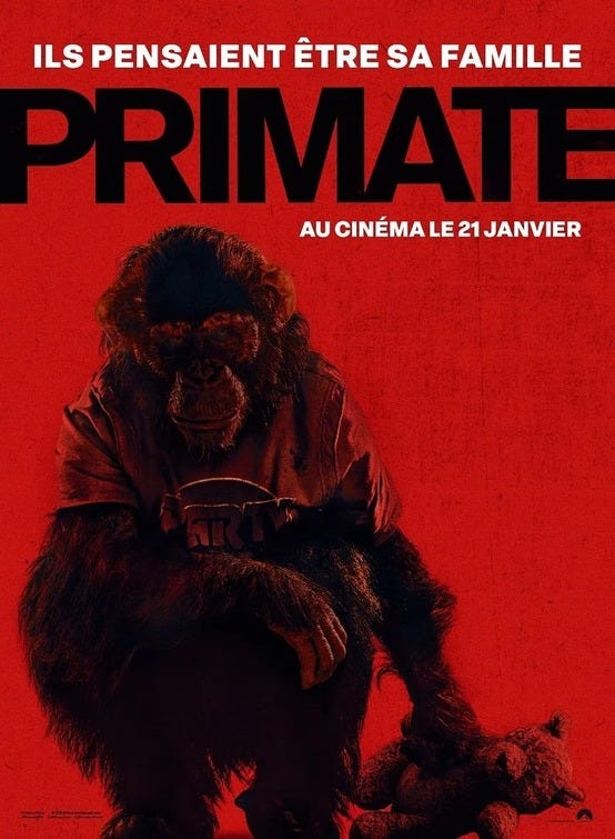 Primate is Cujo in Hawaii But in a Good Way
