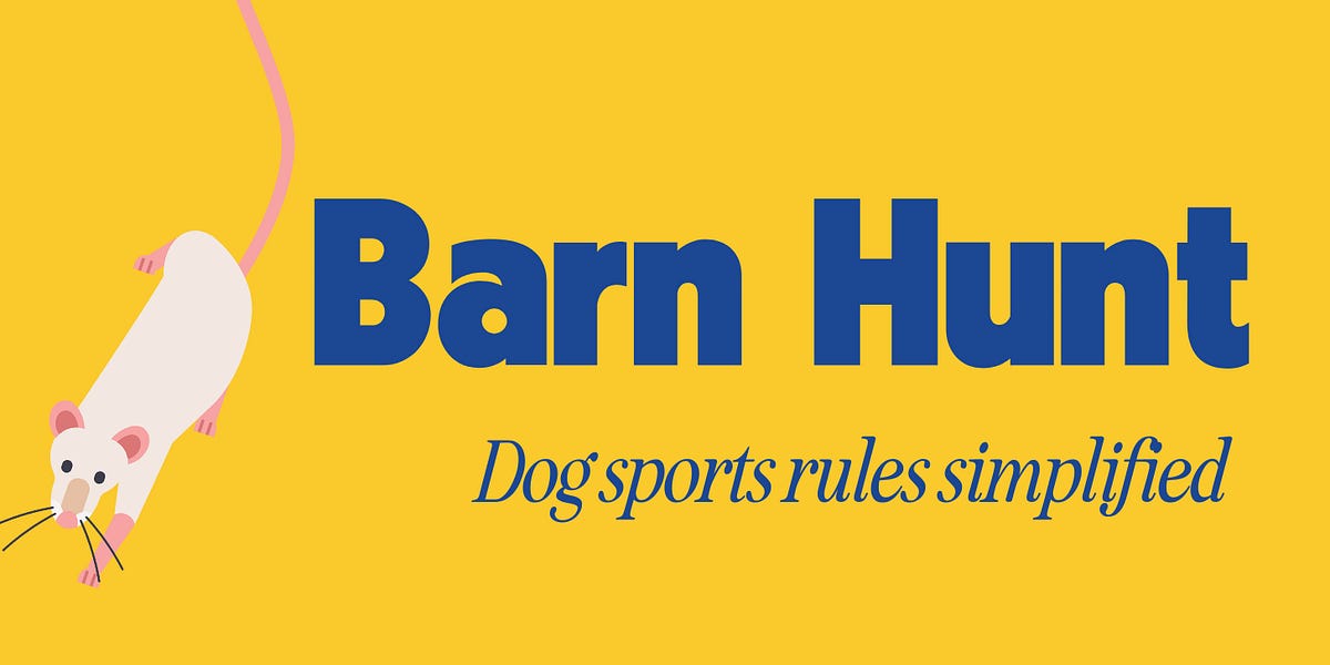 Barn Hunt rules simplified - by Mackenzie Patterson