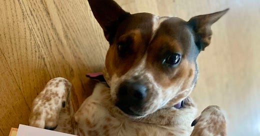 Gayle Kabaker | Substack