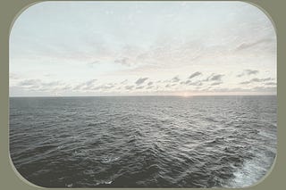 The Husk | Jasmine Stole Weiss | Substack