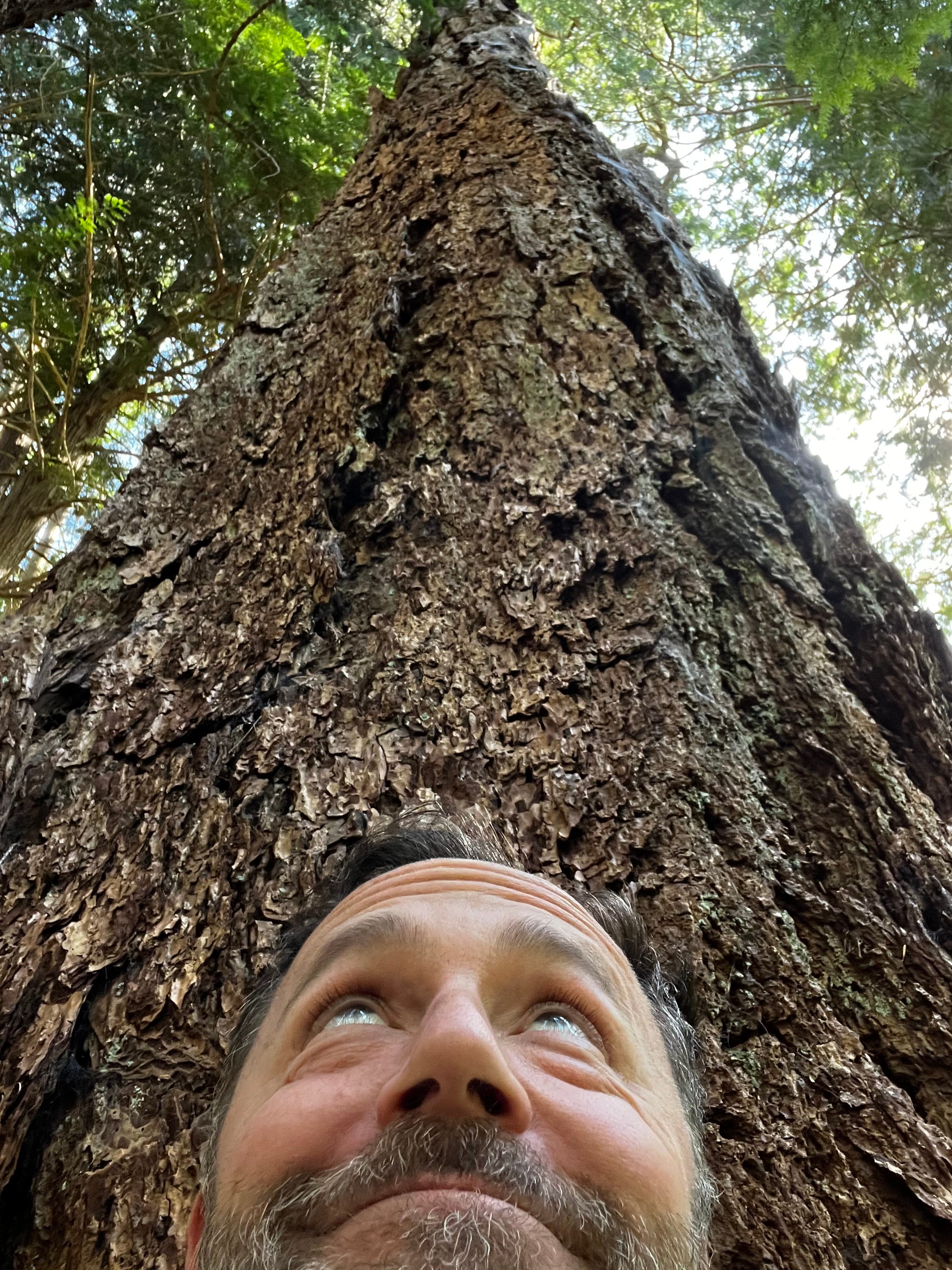 Richard Spatafora's Instagram, Twitter & Facebook on IDCrawl