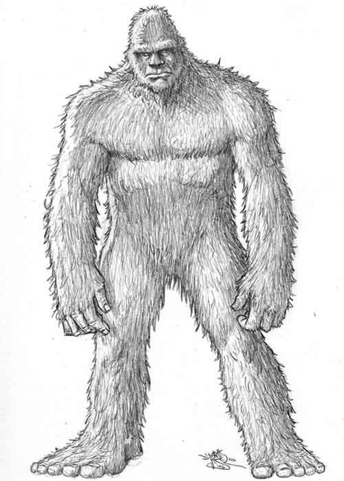 The Beast of Bray Road: Wisconsin's Most Mysterious Cryptid