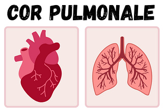 The Echo Journal | Aram K. | Substack