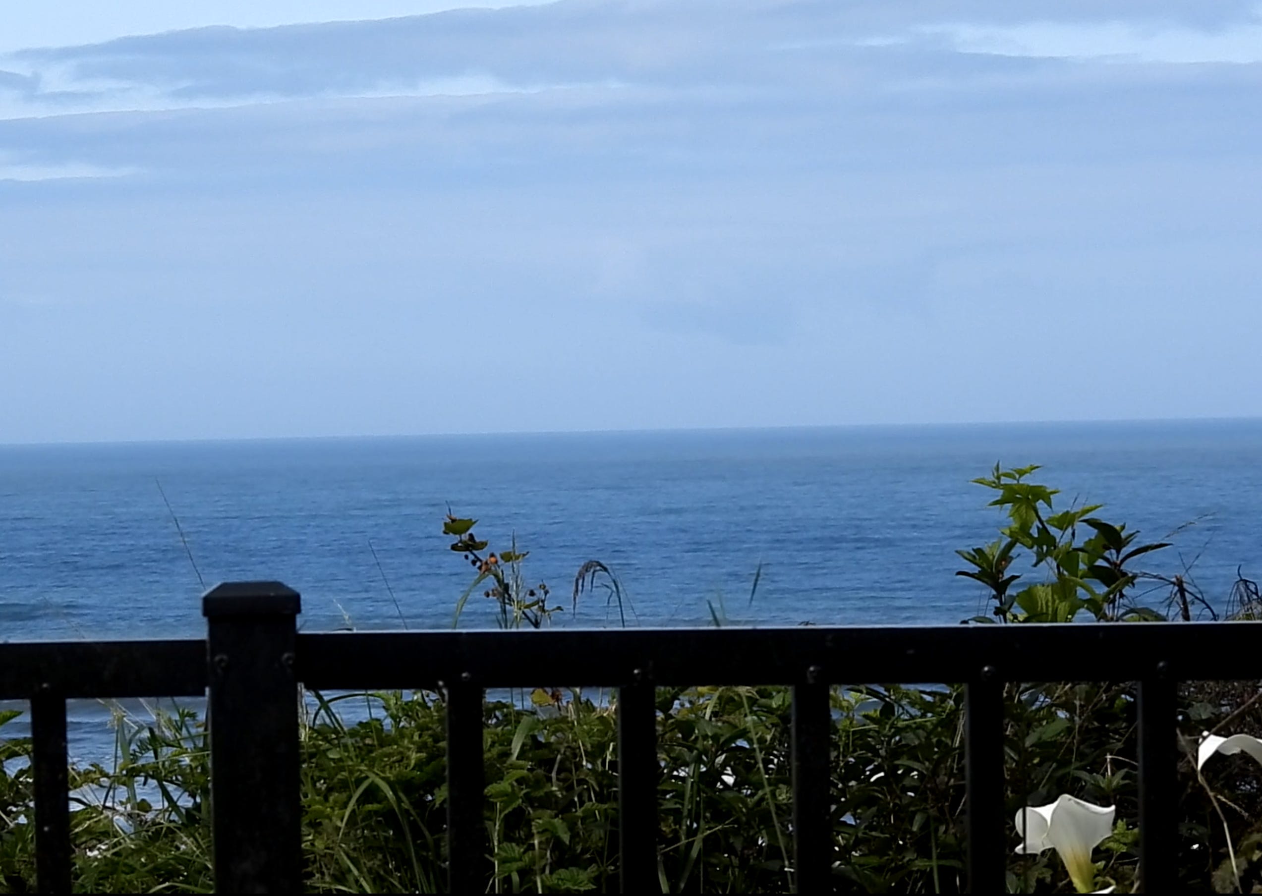 clif high | Substack