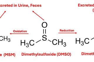 The Forgotten Side of Medicine | A Midwestern Doctor | Substack
