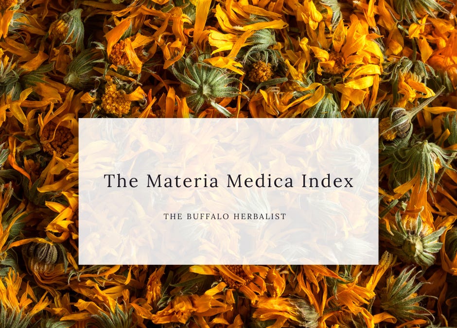 The Materia Medica Index - by Agy | The Buffalo Herbalist