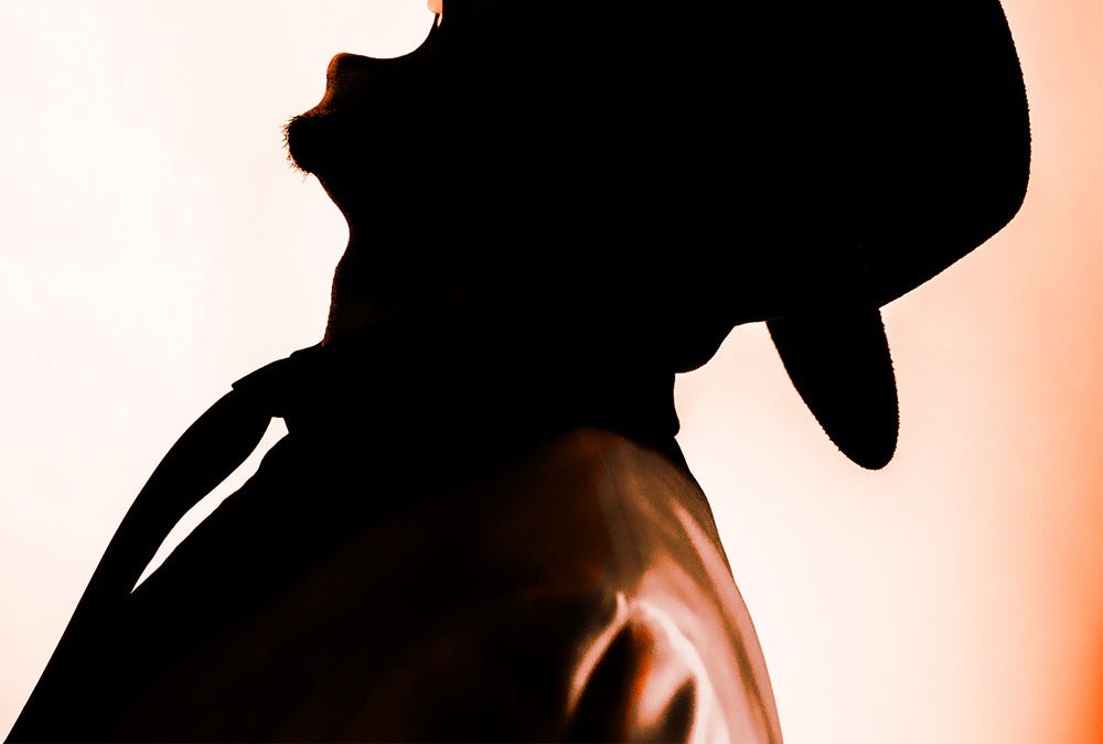 The Ravishing New Me