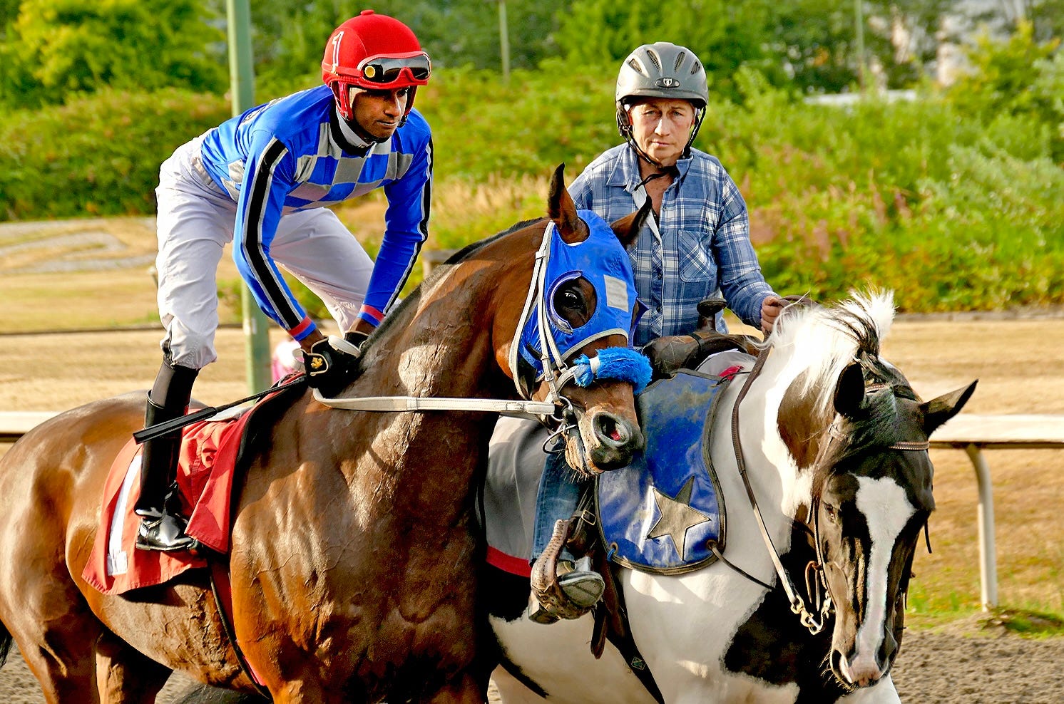 Saturday Previews - by Nigel Reid - Horseracing BC