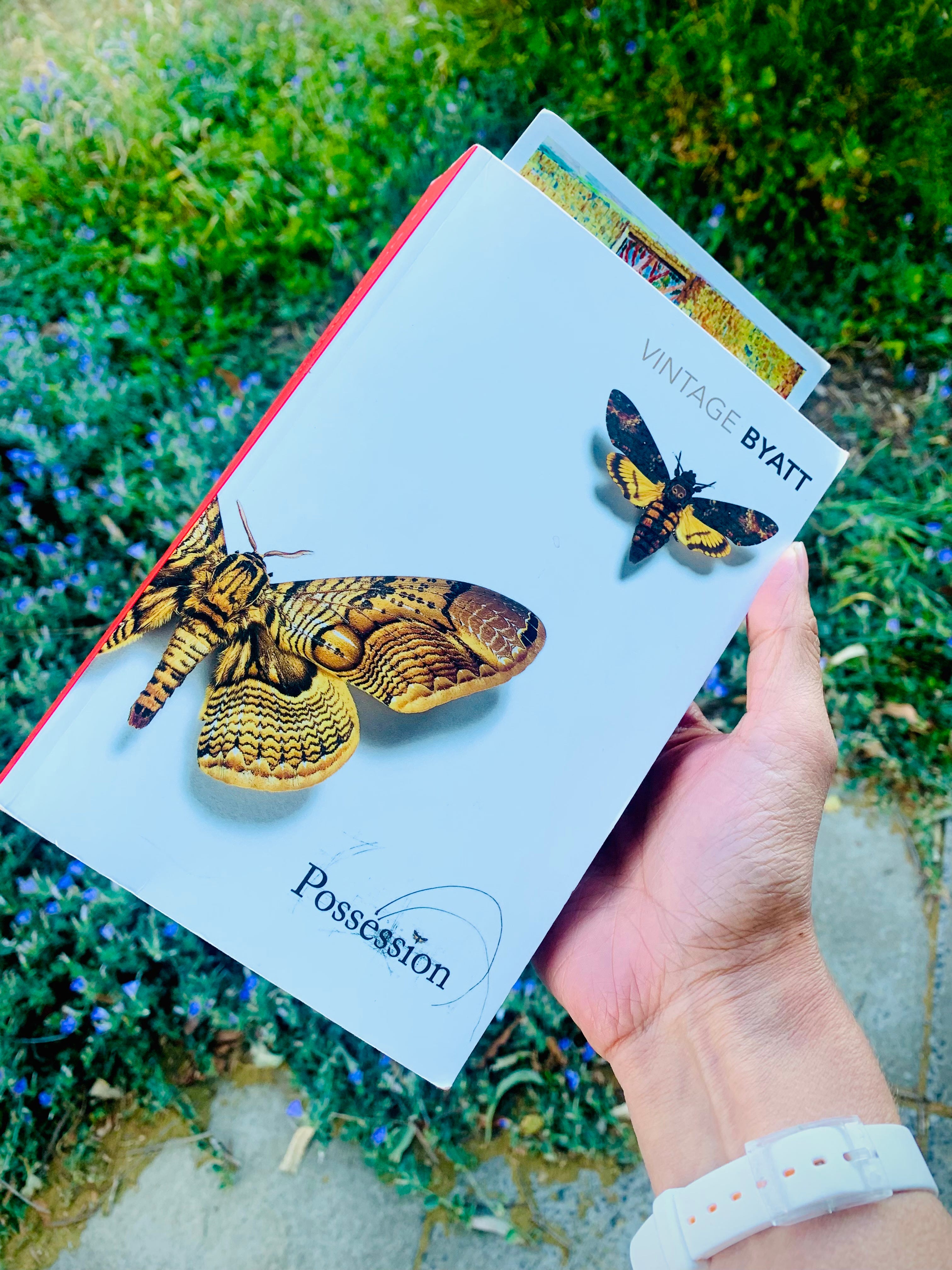 Child prodigies, wool, samurais, Mr Squiggle - by Tash