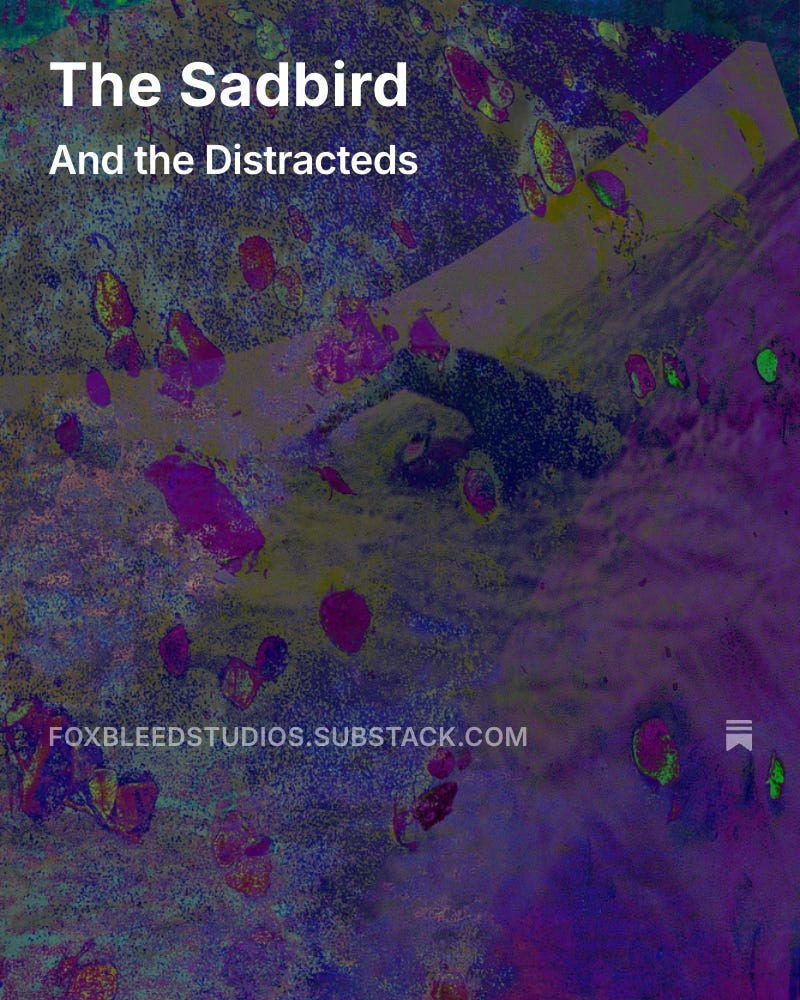 Live with Todd Christopher Thurman