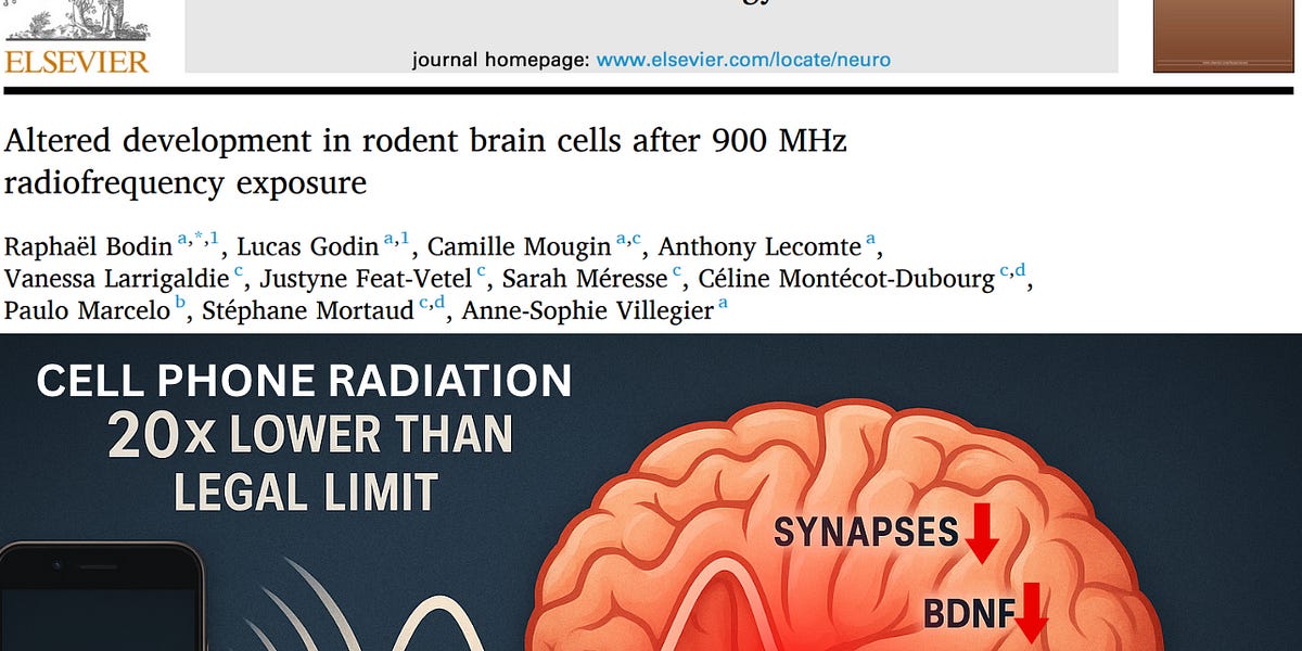 NEW STUDY: Cell Phone Radiation at 20× Below Legal Limit Induced Brain ...